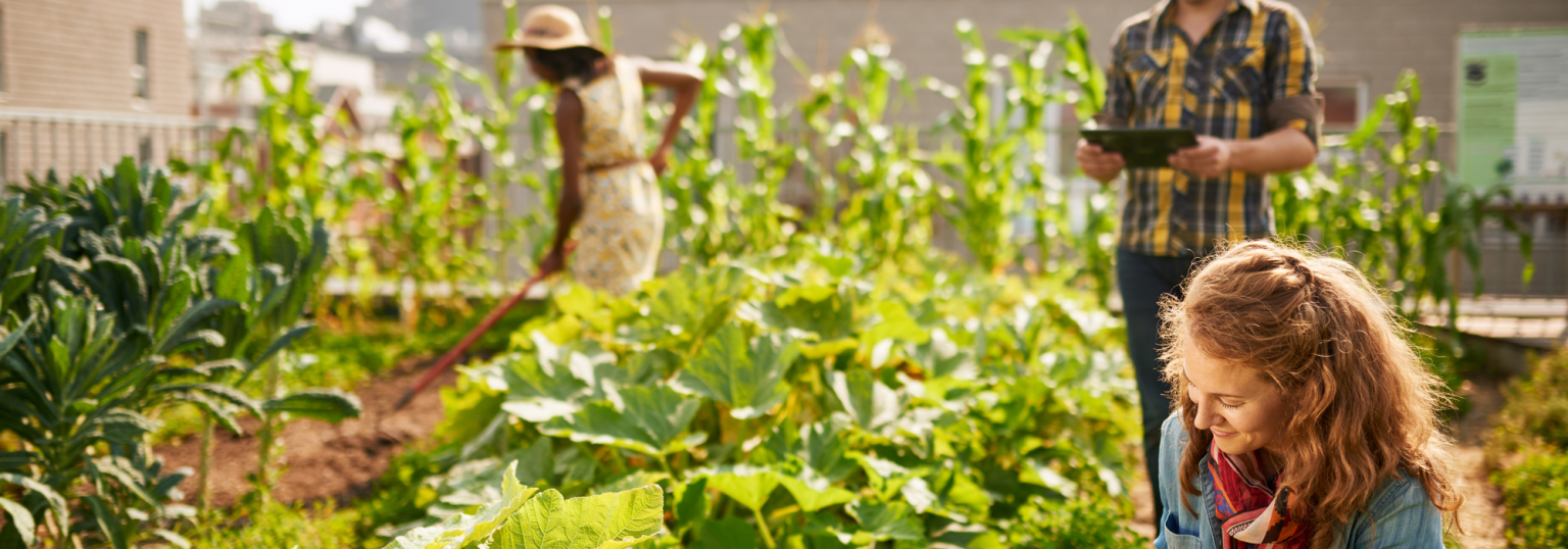 GP Records - Evergreen Life