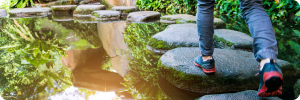 What are your body & indicators telling you? - Evergreen Life