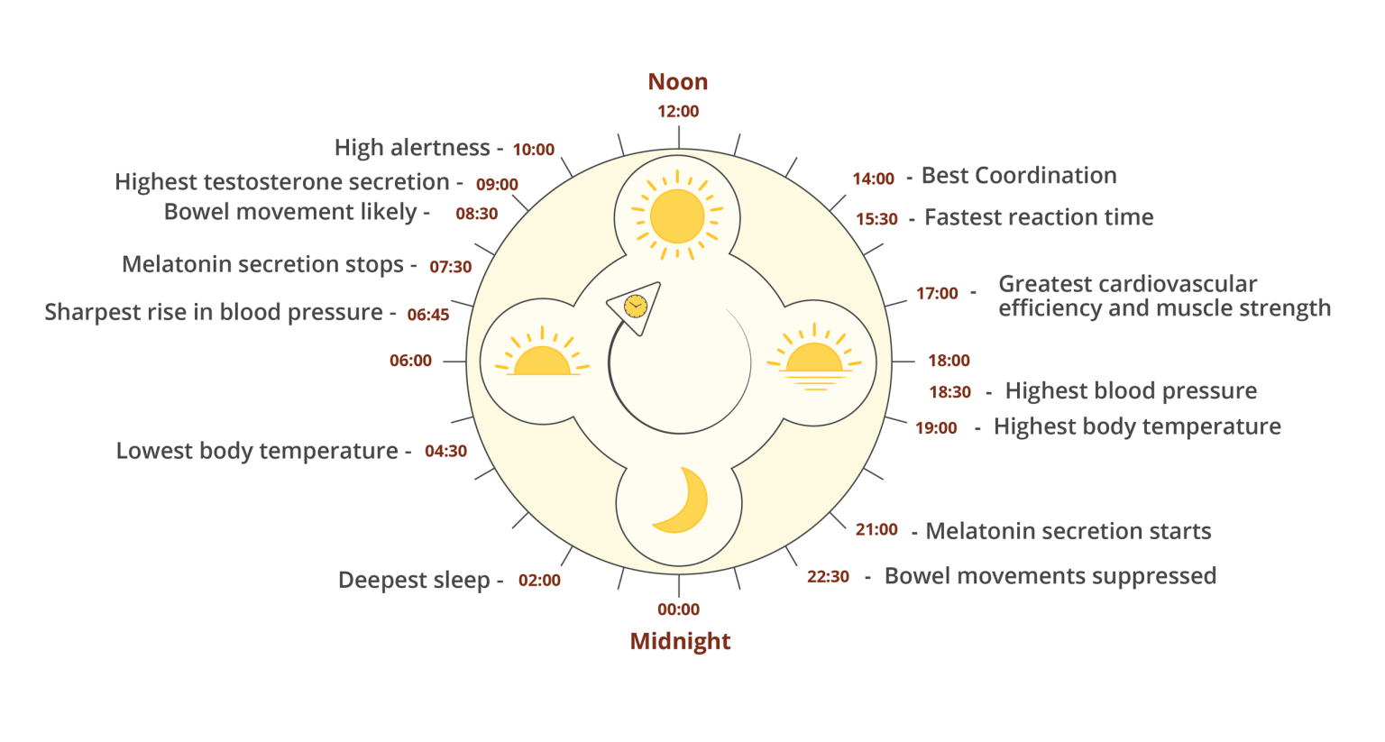 5 tips on how to improve your circadian rhythm - Evergreen Life