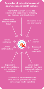 How to improve your metabolic health - Evergreen Life